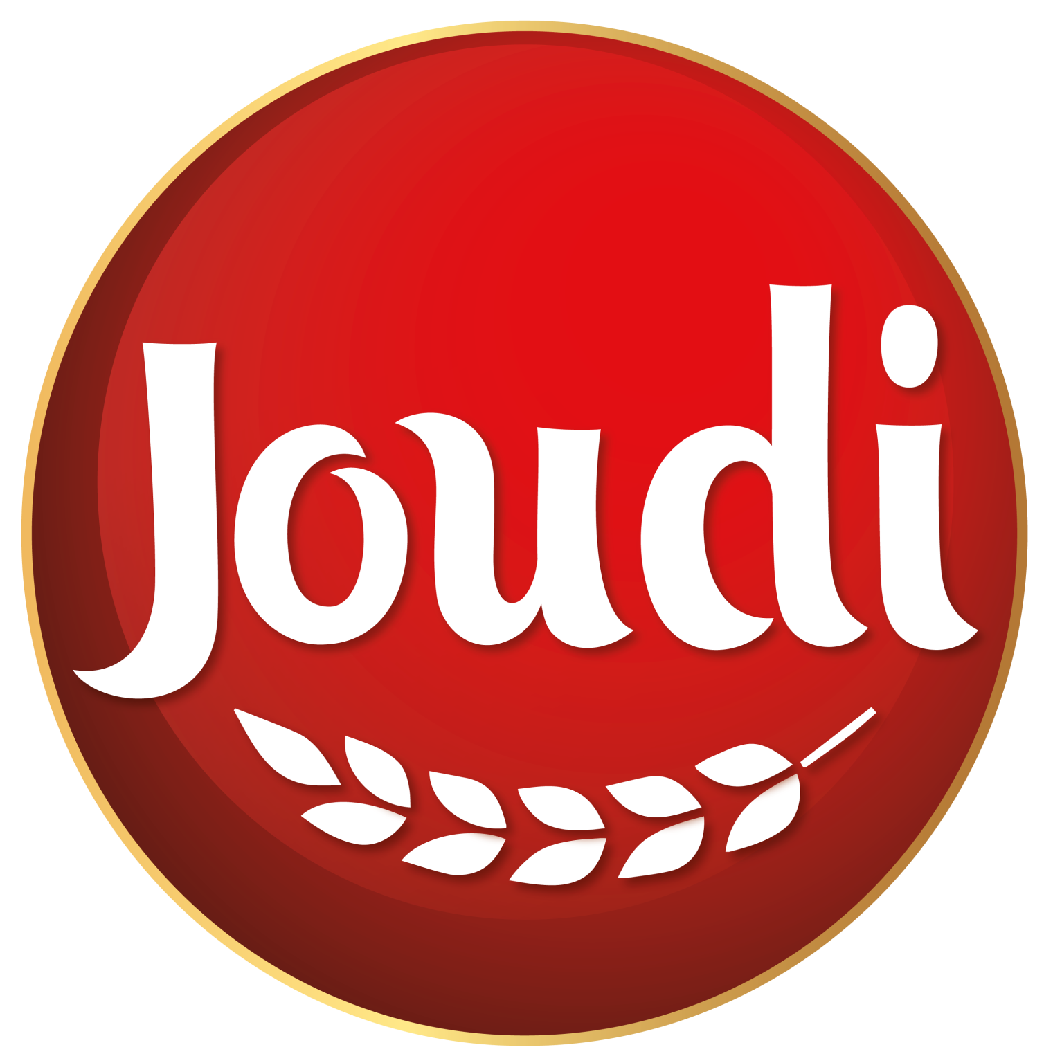 Shanasheel Restaurant – Joudi International